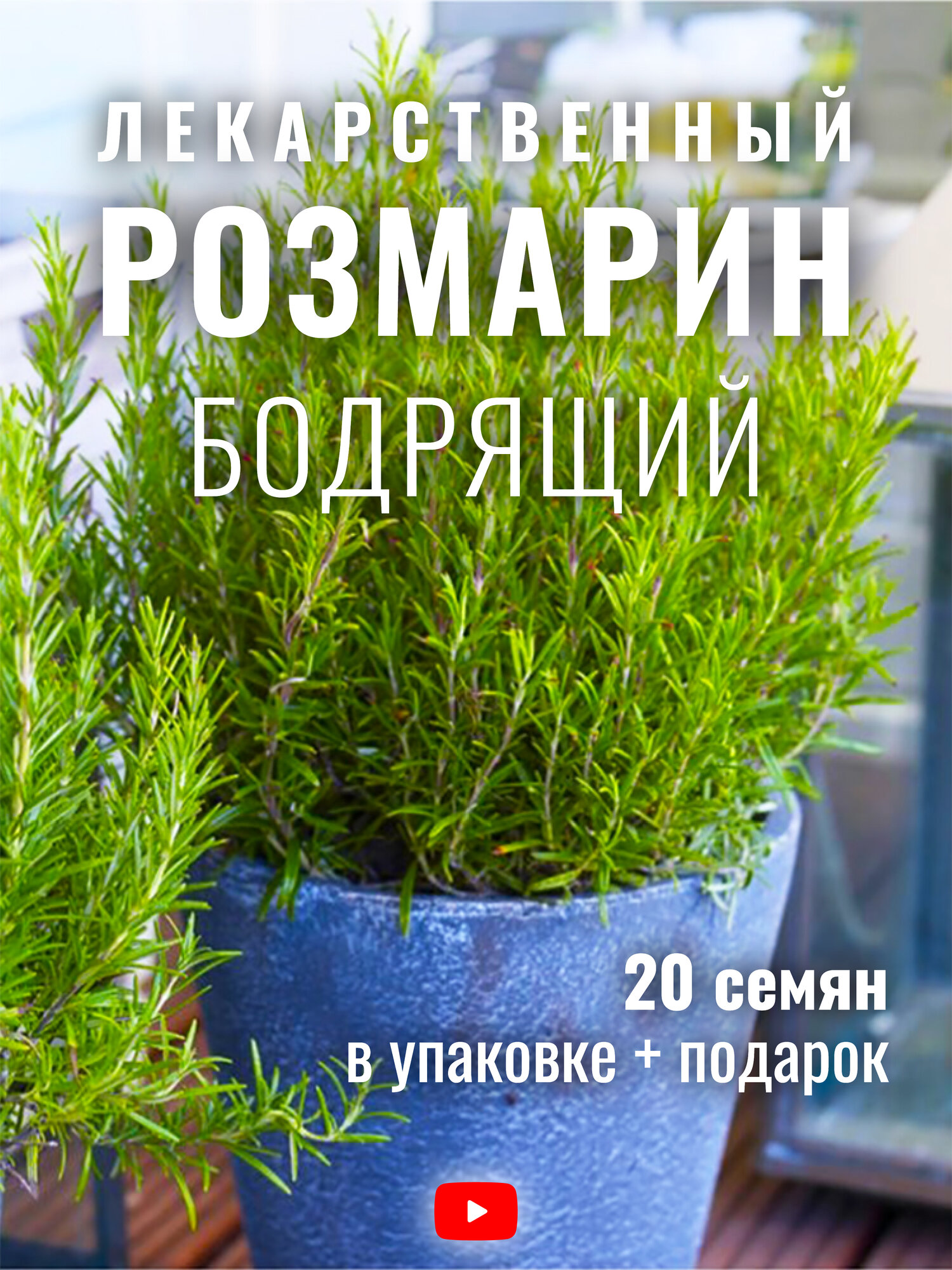 Розмарин Лекарственный Бодрящий, Семена, 20 шт, семена ароматных и пряных трав