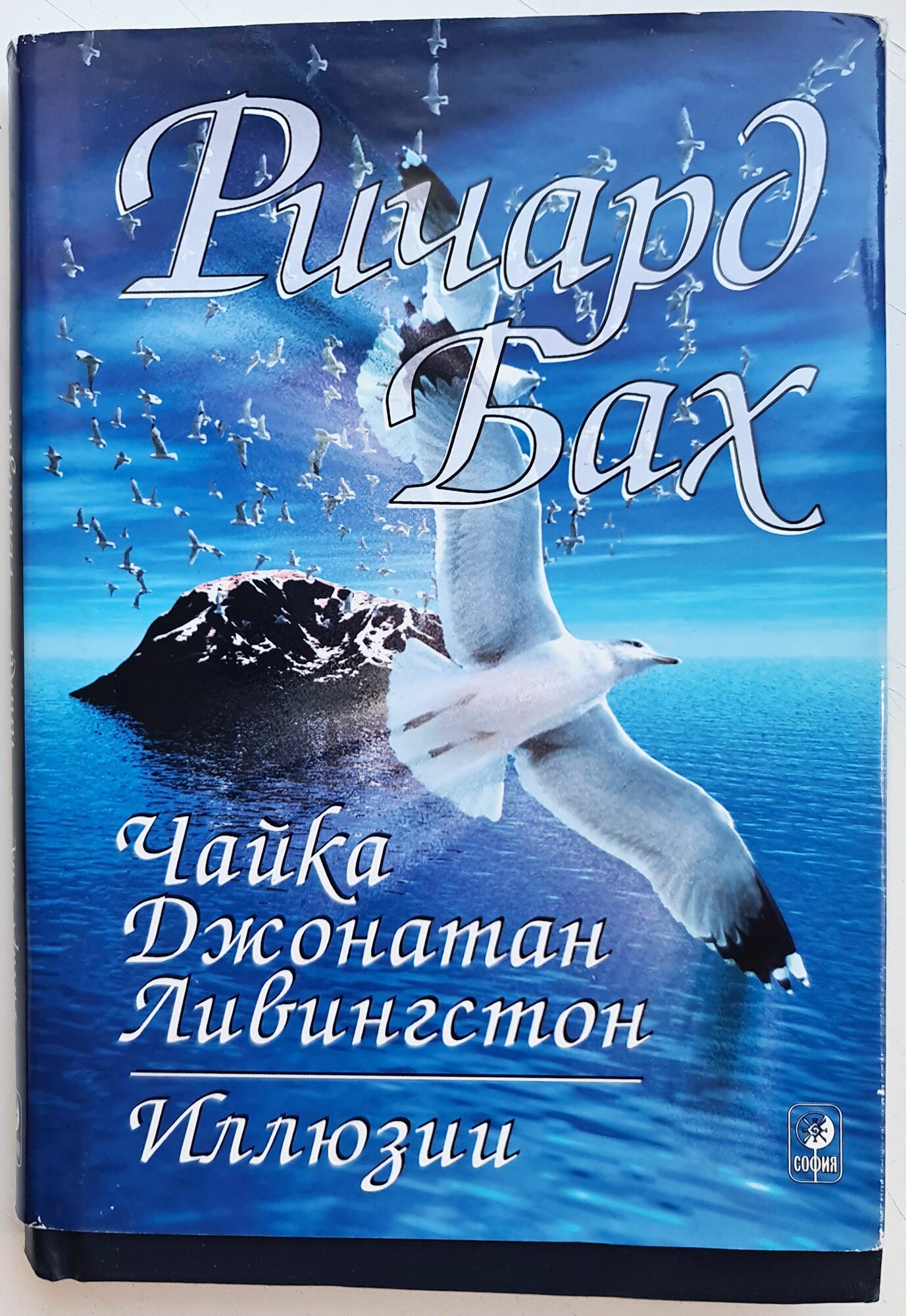 Чайка Джонатан Ливингстон. Иллюзии