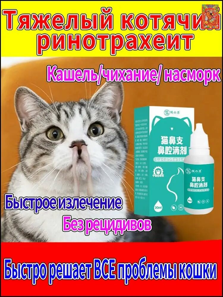 Антибиотик для кошек широкого спектра жидкий