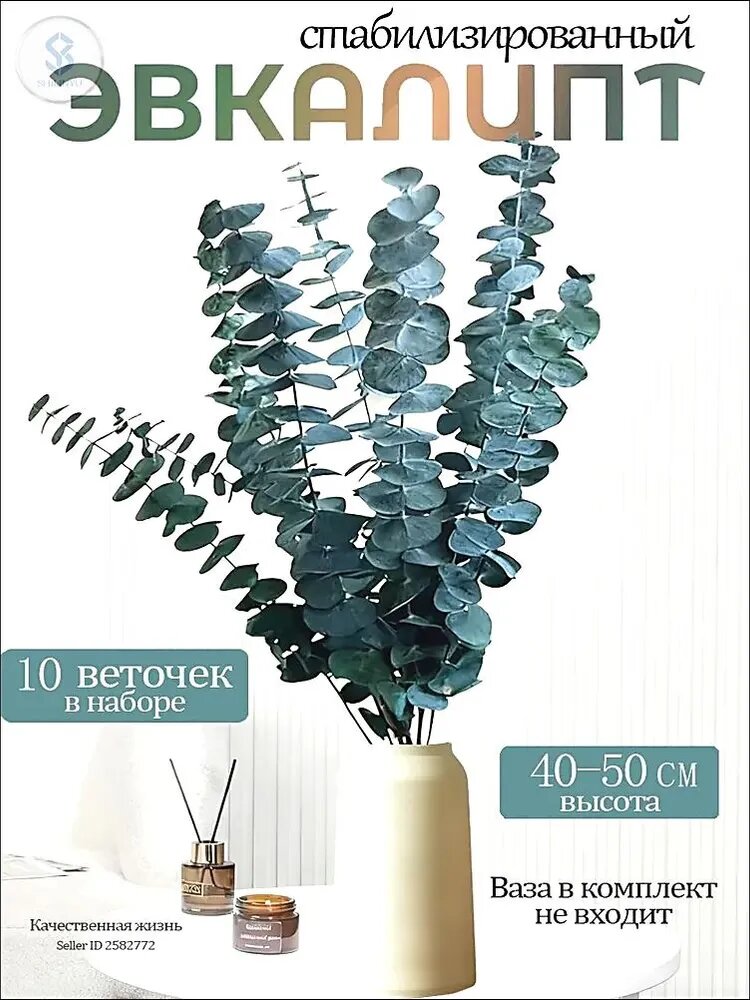 Сухоцветы Эвкалипт, 50 см, 10 шт