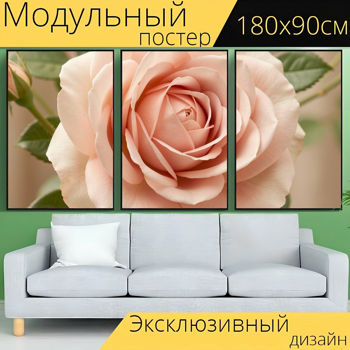 Модульный постер "Нежная роза крупным планом. Пышный цветок пастельно-розового оттенка с бархатистыми лепестками и зелёной листвой." 180 x 90 см. для интерьера на стену в тубусе