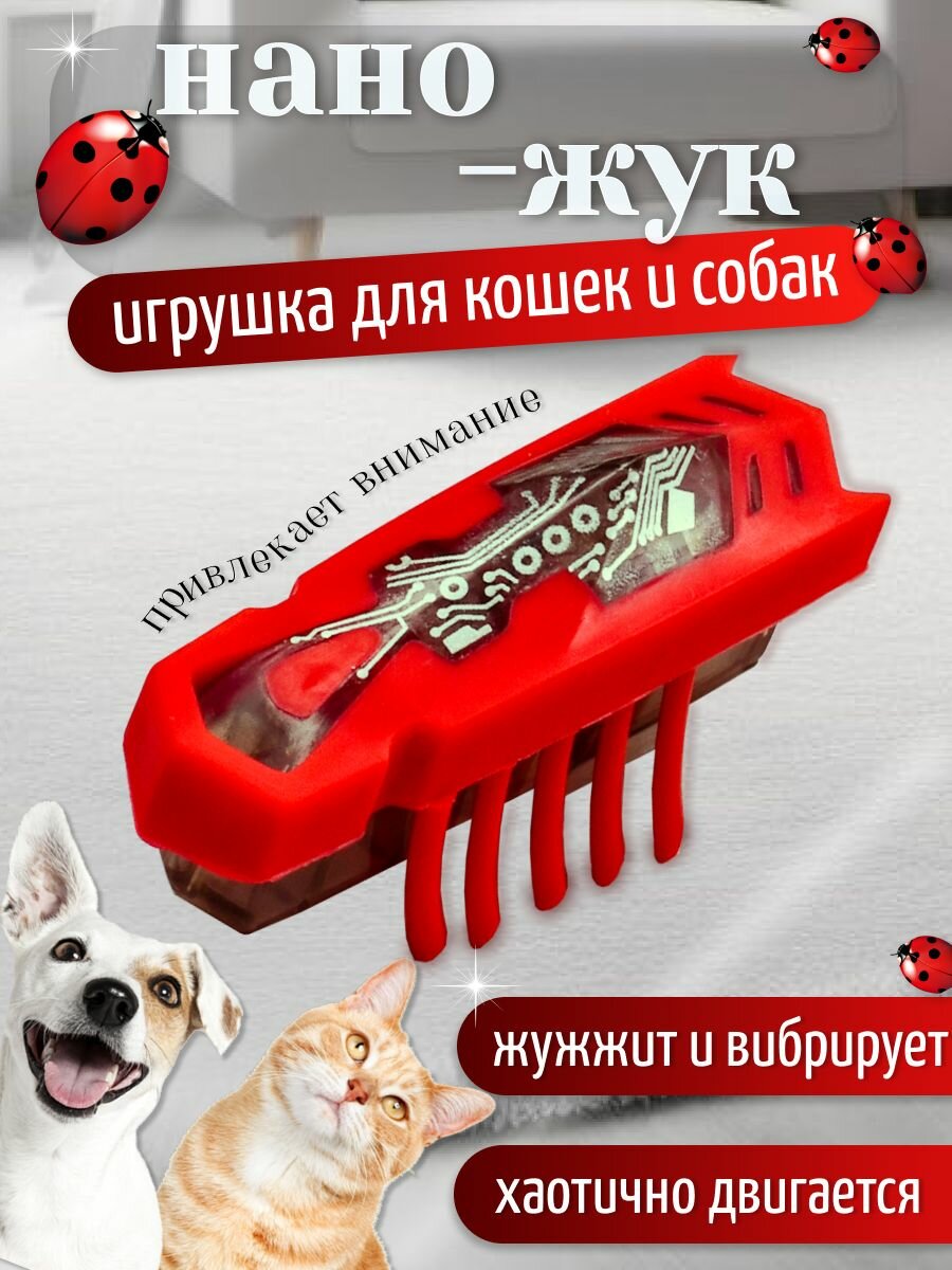 Интерактивная игрушка дразнилка для кошек и котов "Робот Нано-жук". Развивающая игра для собак. Электронная автоматическая игрушка для животных. Развлечение для котенка с вибрацией и звуком
