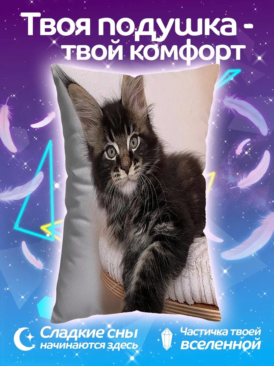 Подушка дакимакура Кот мейн-кун