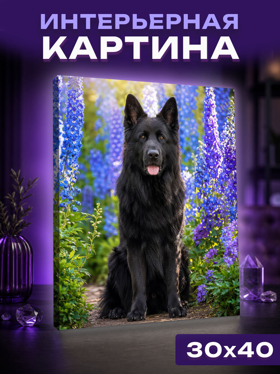Интерьерная картина немецкая овчарка в цветущих дельфиниумах