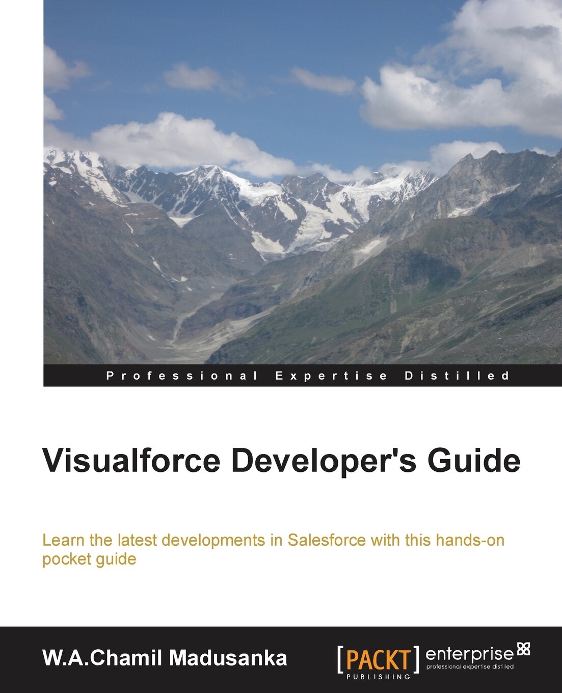 Visualforce Developer's Guide — фото 1