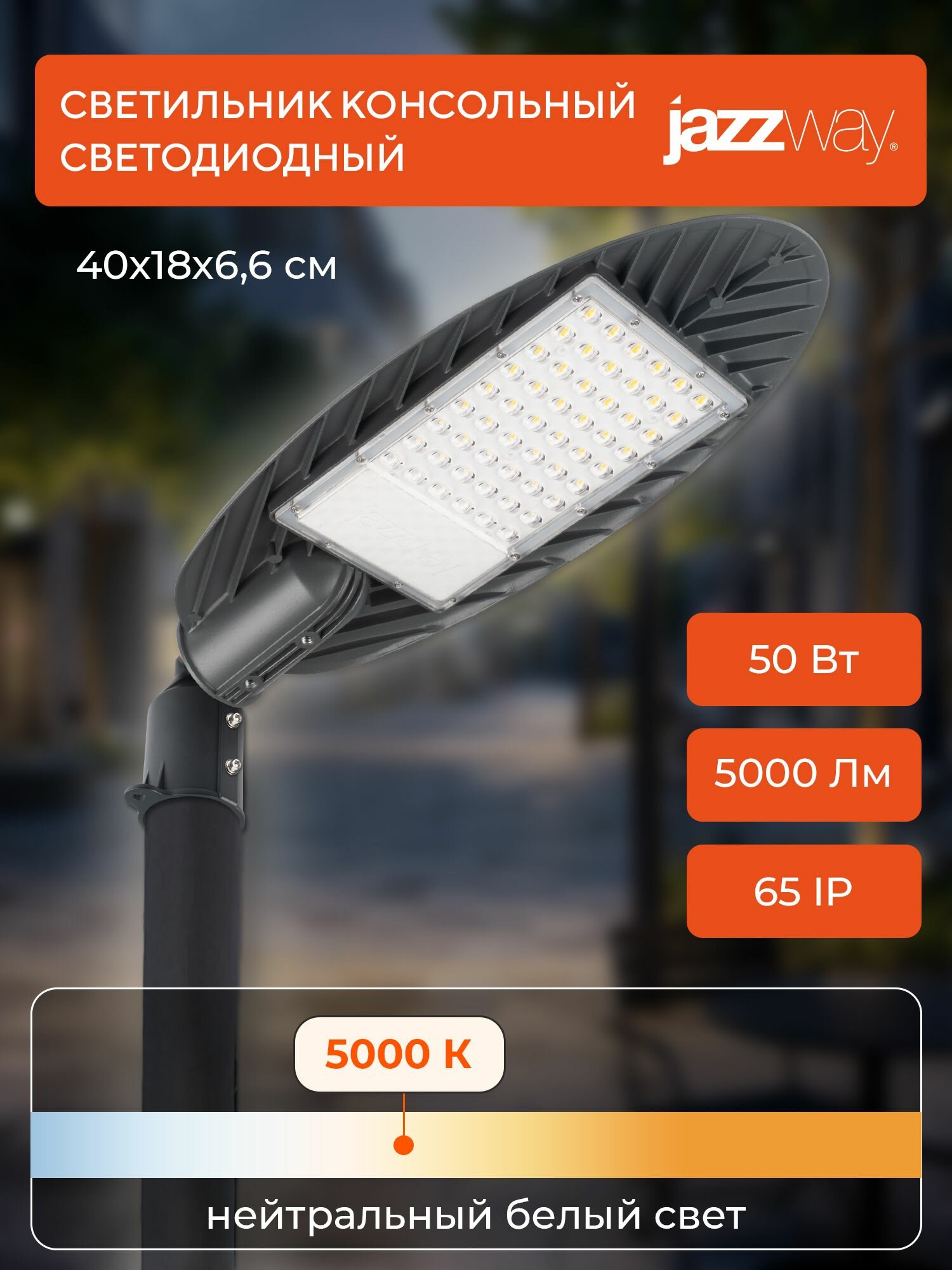 Светильник уличный консольный Jazzway PSL 03 50w 4000K