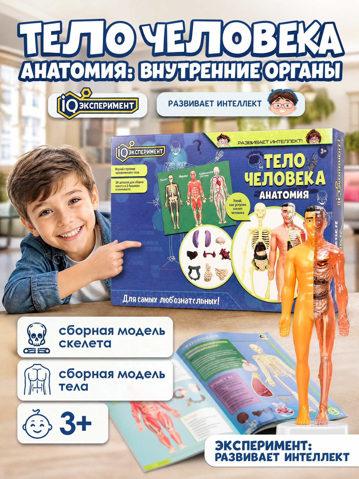 Опыты и эксперименты для детей Анатомия человека, IQ Эксперимент