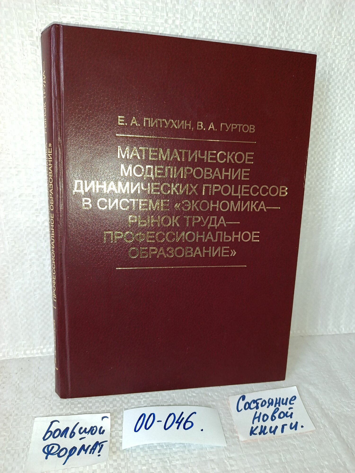 Математическое моделирование динамических процессов в системе "Экономика - рынок труда - профессиональное образование" / Е. А. Питухин, В. А. Гуртов.