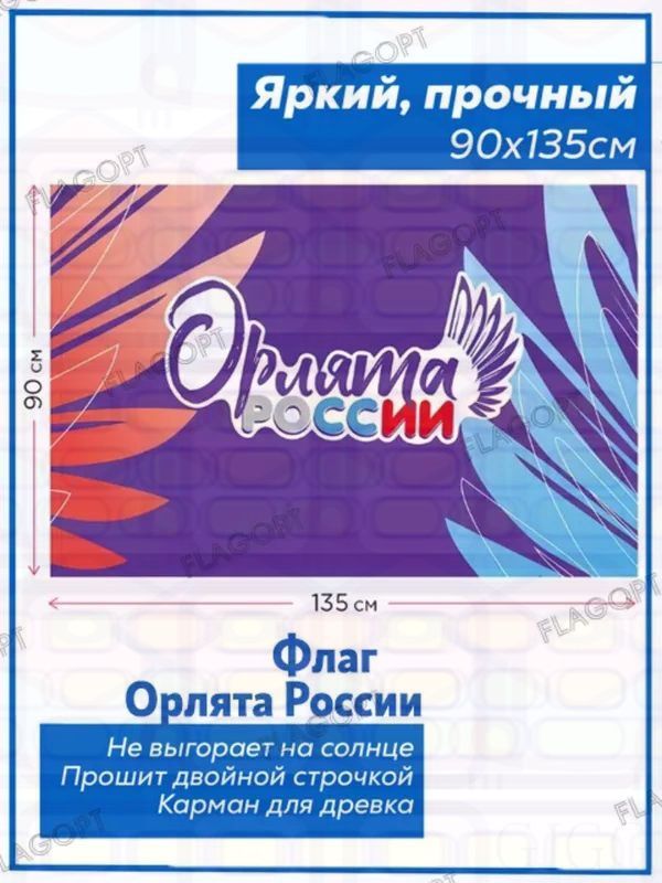 Флаг Орлята России. Движение первых. Рддм