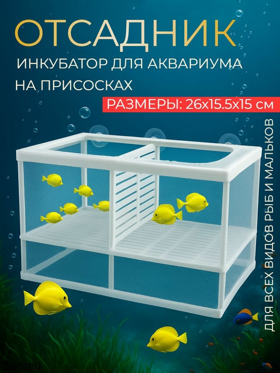 Отсадник с сеткой для аквариума для рыб инкубатор для мальков 26х15.5х15 см с пергородкой