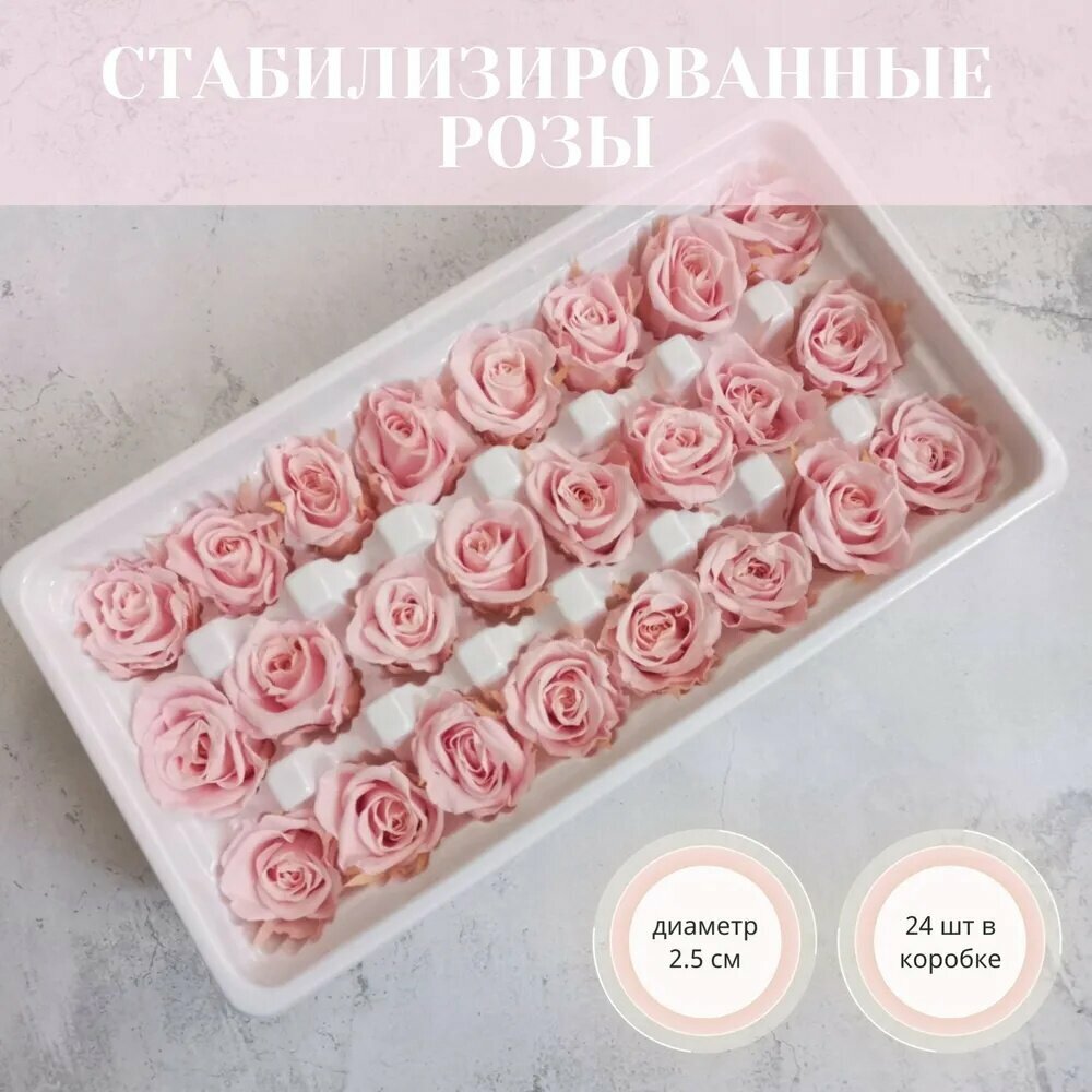 Стабилизированные цветы Роза, 24 шт