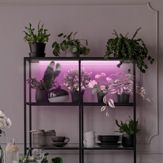 Светильник для растений, фитолампа светодиодная линейная ЭРА LLED-05-T5-FITO-14W-W розового свечения