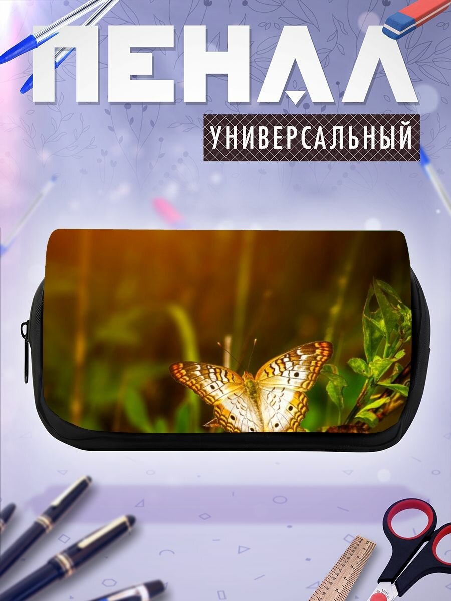 Школьный пенал бабочка Синтия подрода