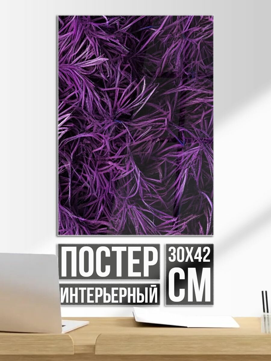 Постер на стену Фиолетовая трава на чёрном фоне