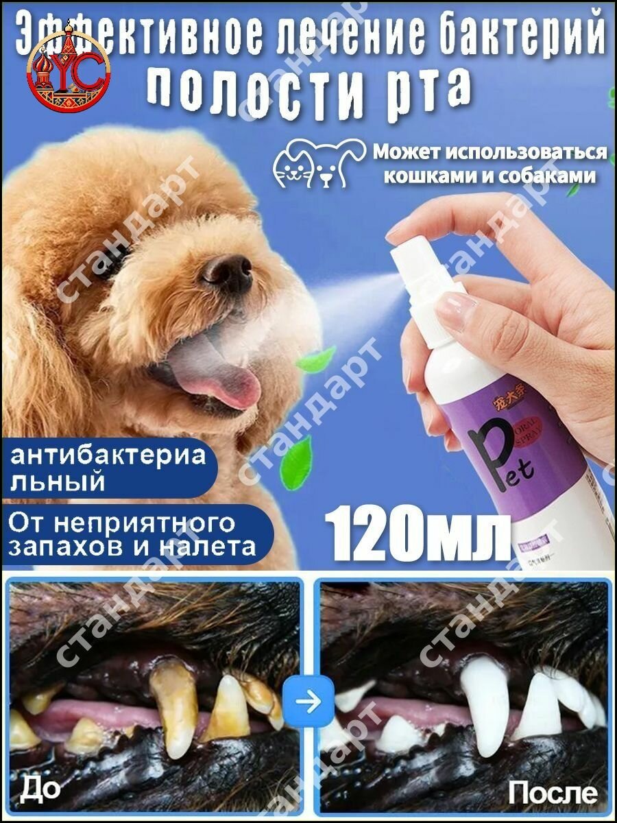 Спрей для полости рта собак, чистить зубы собаке