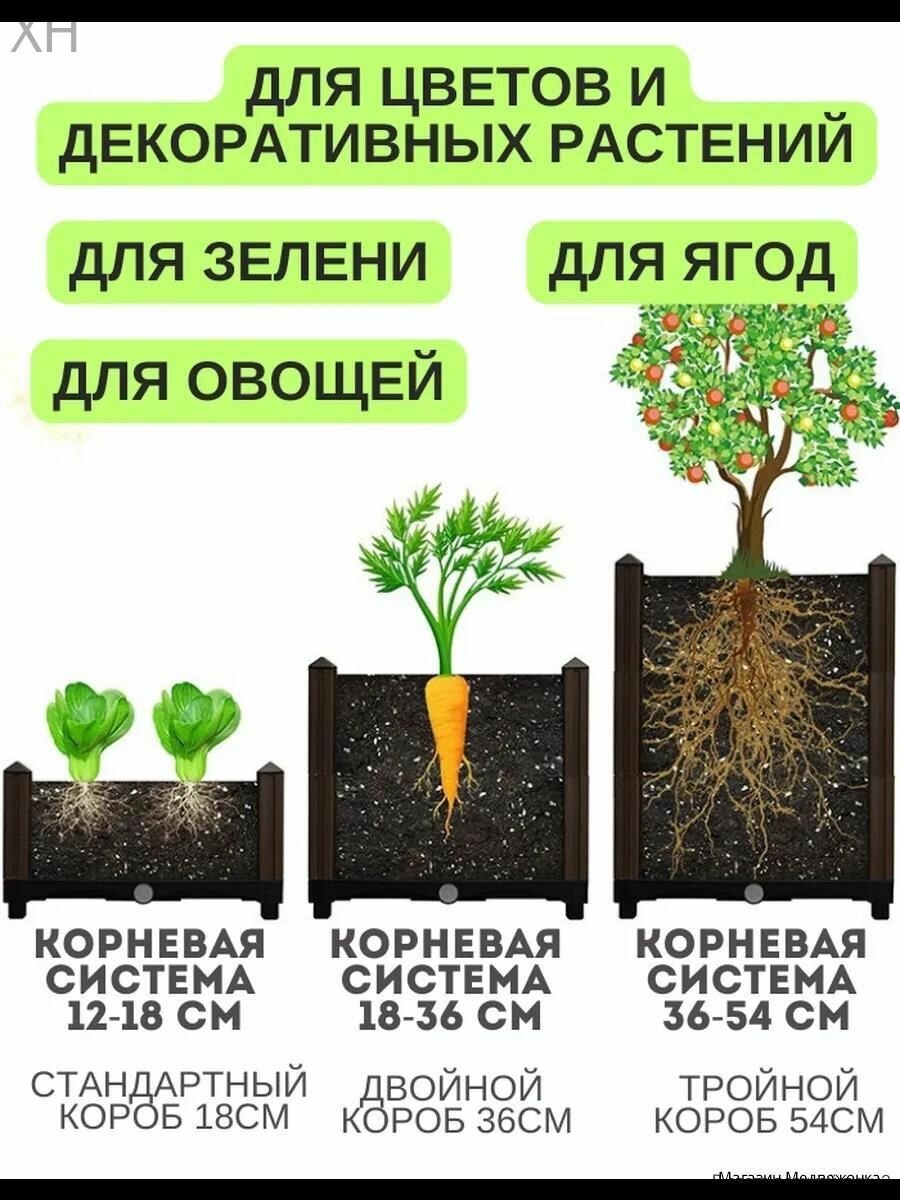 Грядка — фото 1