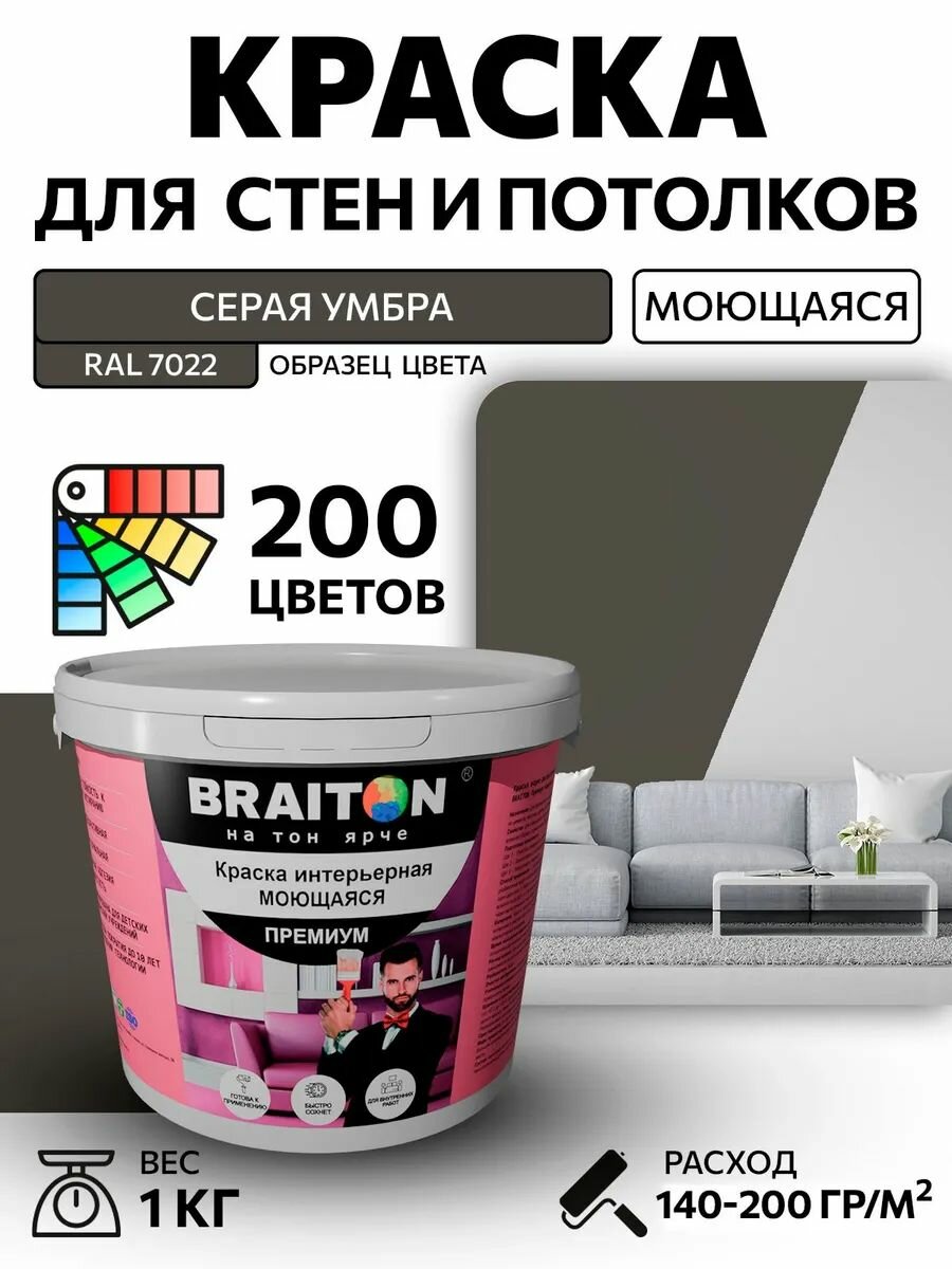 Краска ВД интерьерная BRAITON Премиум Моющаяся 1 кг. Цвет Серая умбра RAL 7022 акриловая, быстросохнущая, для наружных и внутренних работ, для стен и потолков, матовое покрытие