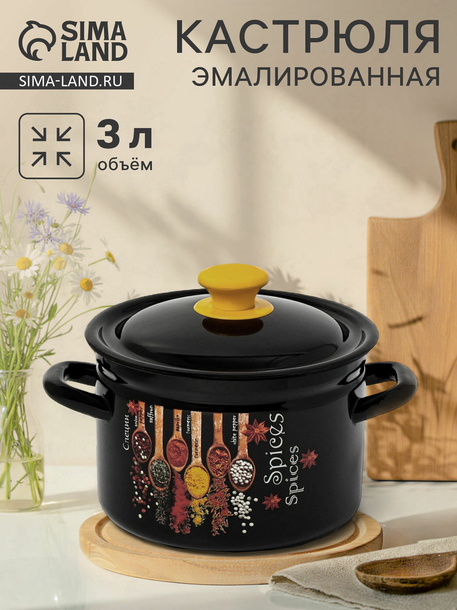 Кастрюля эмалированная "Карри", 3 л, d=19.2 см, с крышкой, чёрная