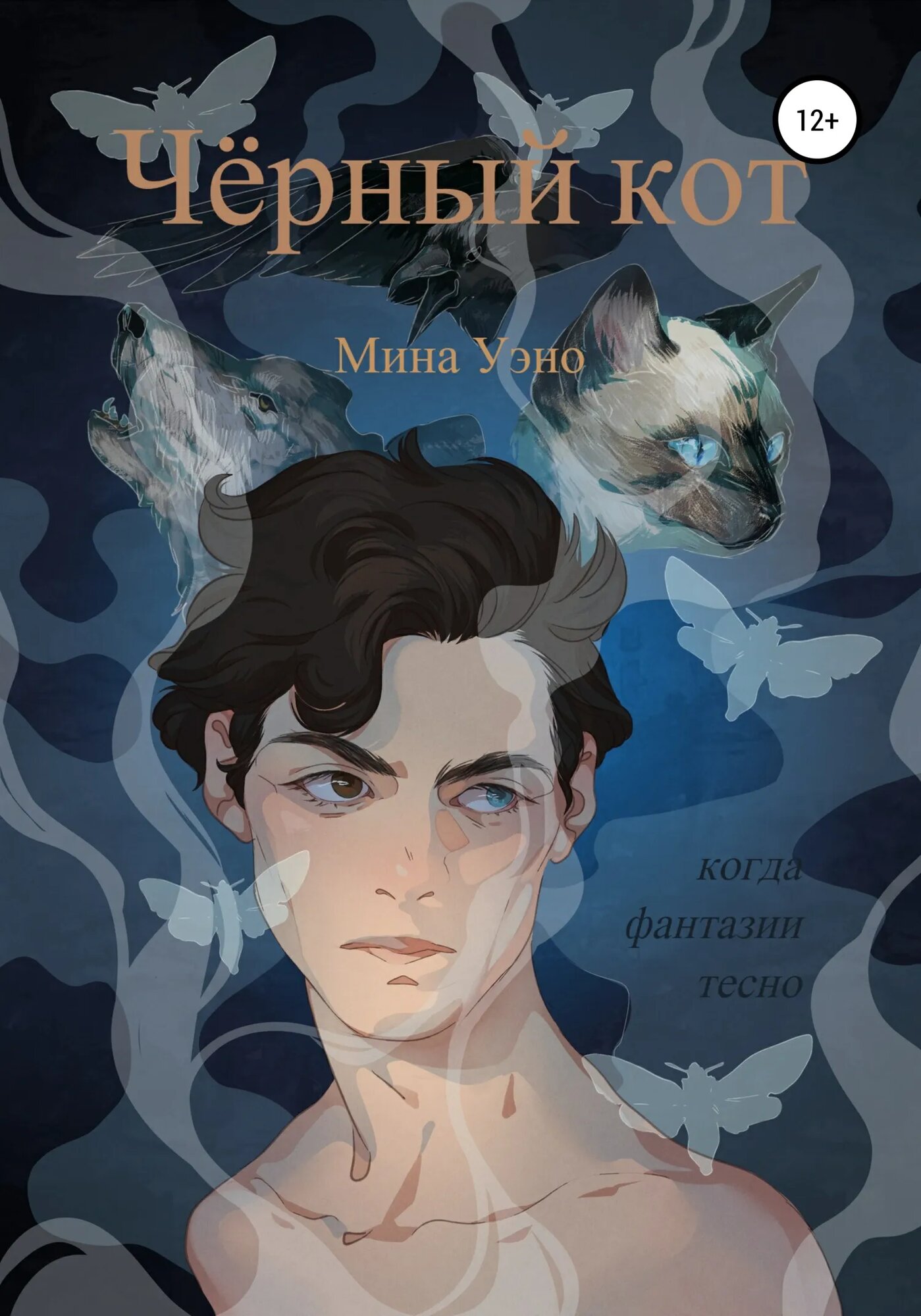 Чёрный кот [Цифровая книга]