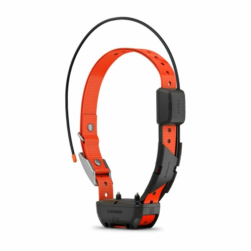 Ошейник для отслеживания собак Garmin TT 25 Gps Dog Tracking And Training Collar