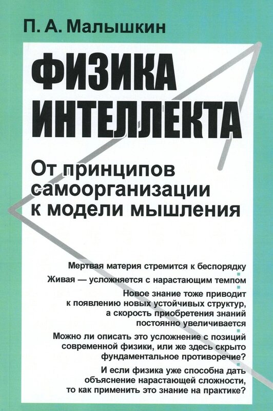Физика интеллекта: От принципов самоорганизации к модели мышления (Малышкин П. А.)