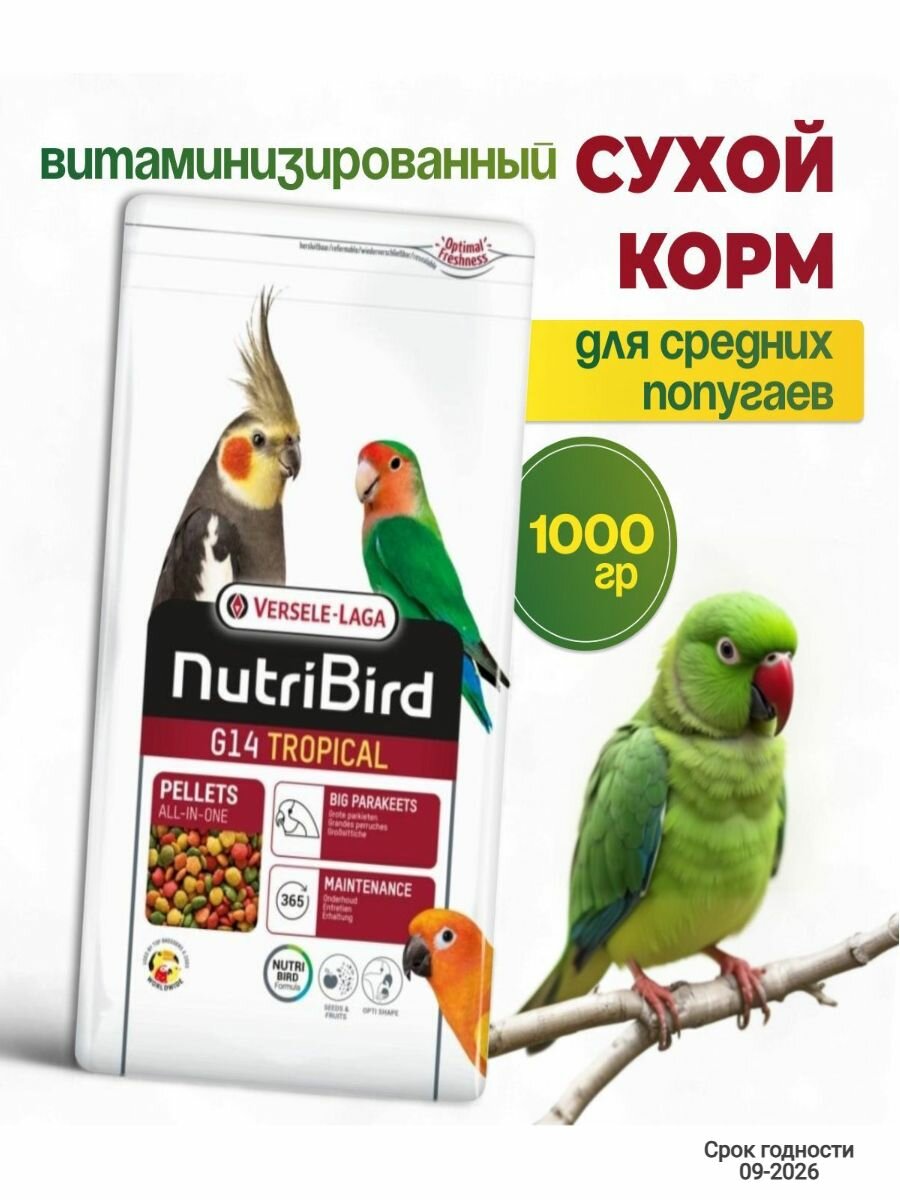 Зерновая смесь для средних и волнистых попугаев