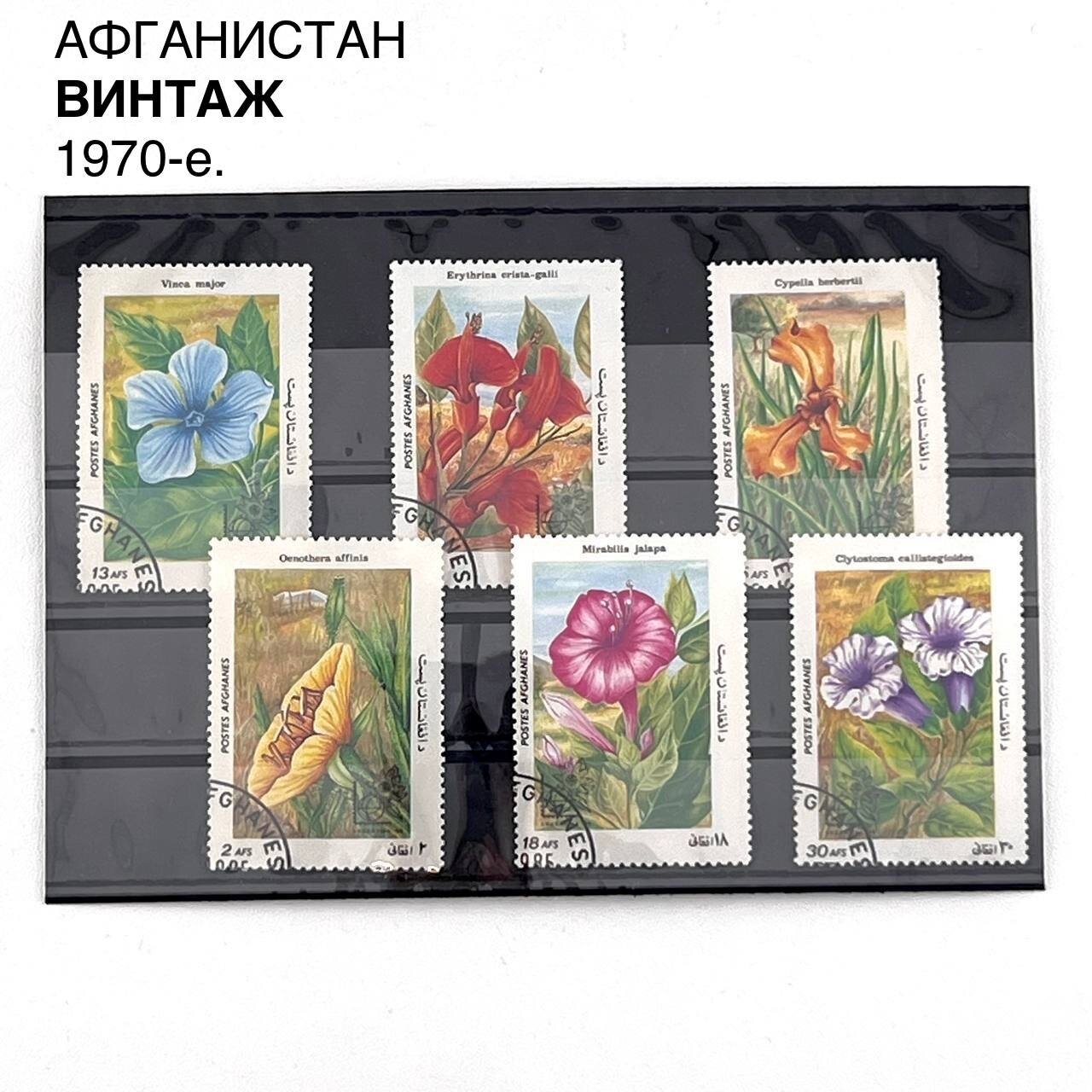 Винтажные марки "Флора". Набор 6 шт. Афганистан, 1970-е.