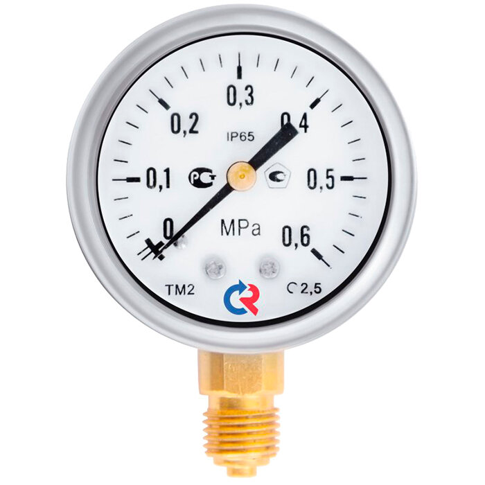 Манометр радиальный Росма ТМ-220Р.00 (0-0.6МПа) G1/4 2.5 виброустойчивый (готовый к гидрозаполнению) 100мм, тип - ТМ-220Р, радиальное присоединение, шкала (0-0.6МПа), резьба G1/4, класс точности 2.5, цвет хром