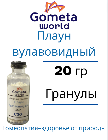 Плаун булавовидный гранулы С30, альтернативное решение гомеопатические, народная медицины
