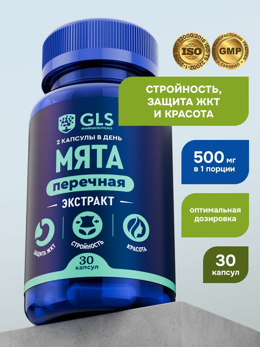 Мята Экстракт, витамины / БАД для защиты ЖКТ, похудения и молодости, 30 капсул