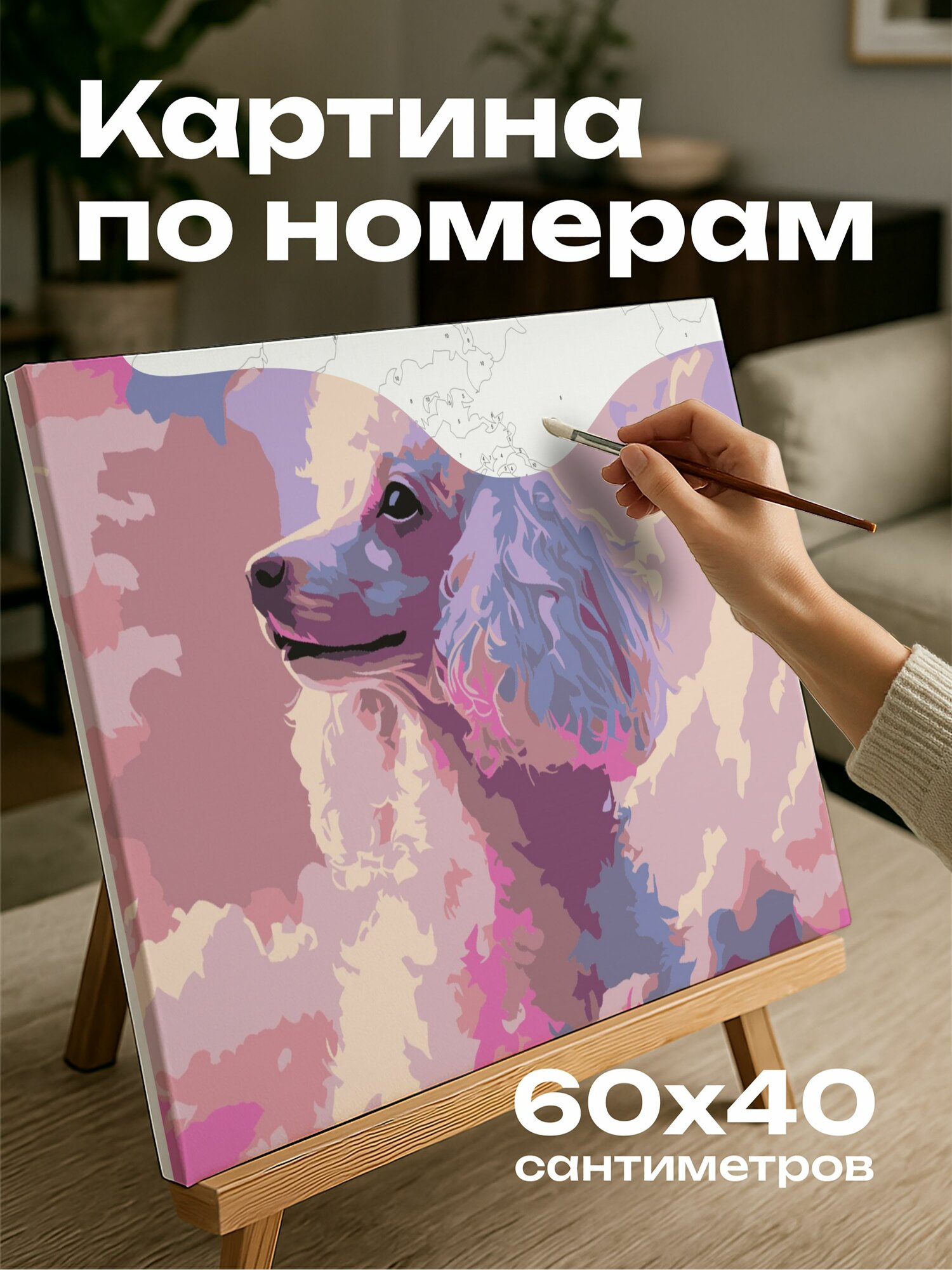 Картина по номерам 60x40 см, пудель, пушистая шерсть, облака, сахарная вата, небо пастельных тонов, радость, свобода