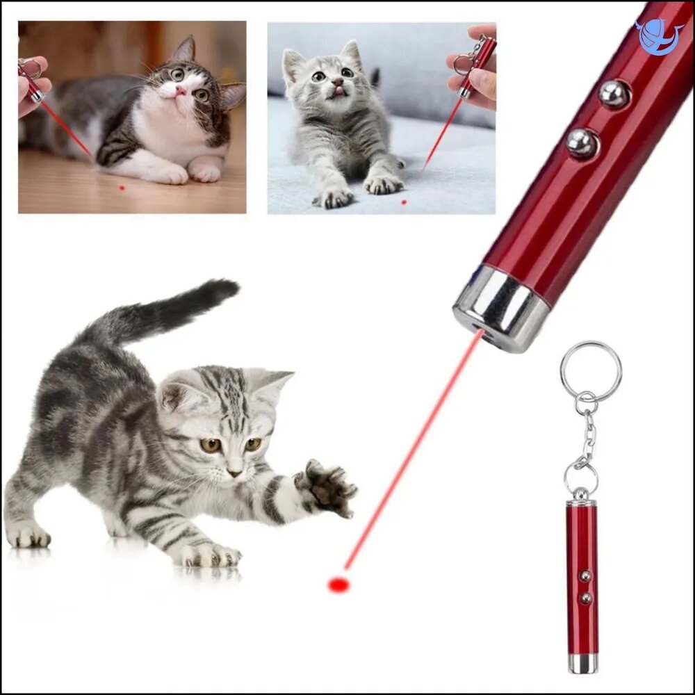 Эксклюзивная фиолетовая лазерная указка с карабином для презентаций и развлечения домашних питомцев, оснащенная бестселлер опциями красного лазера, ультрафиолетового и обычного фонарика