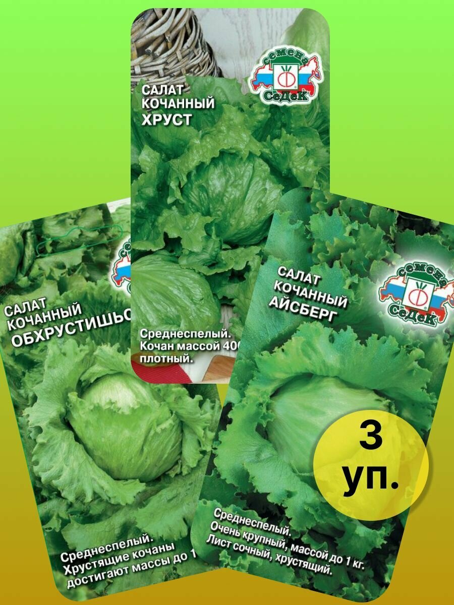 Ассорти семян качанного салата "СеДеК" (3 уп.)- Айсберг, Обхрустишься, Хруст