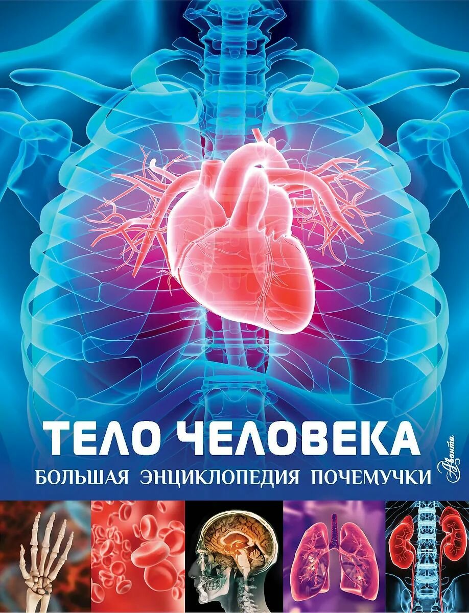 Энциклопедия АСТ Тело человека, К. Хибберт, 2022 г