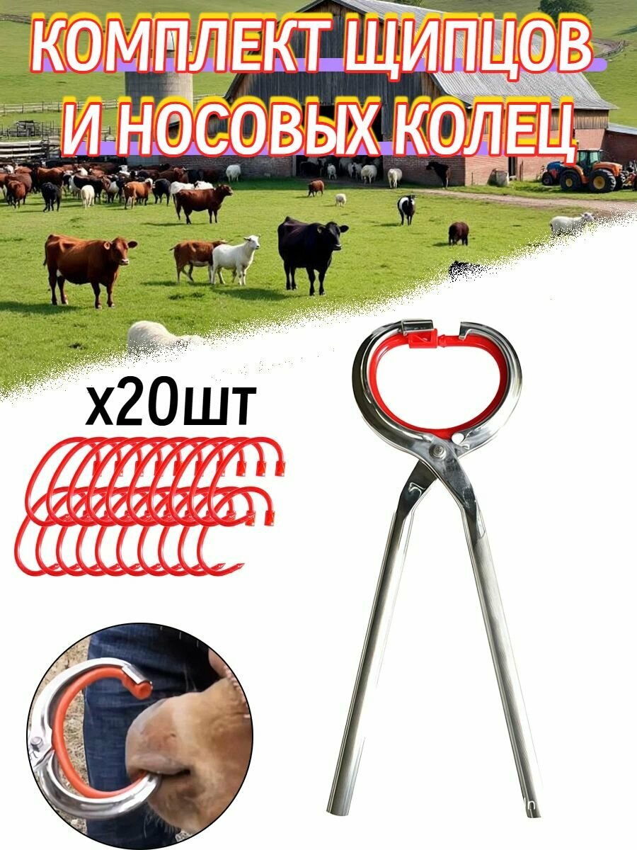 Комплект Специализированных Щипцов Для Установки Носовых Колец И Колец Для Носа Коровского Скота,20шт