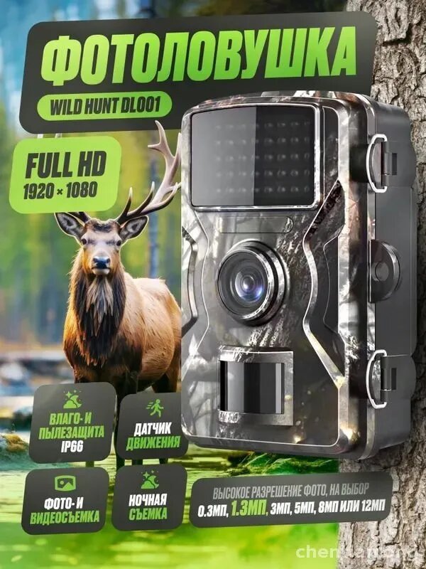 Фотоловушка Wild Hunt DL001 Full HD 1920*1080 для охоты с датчиком движения