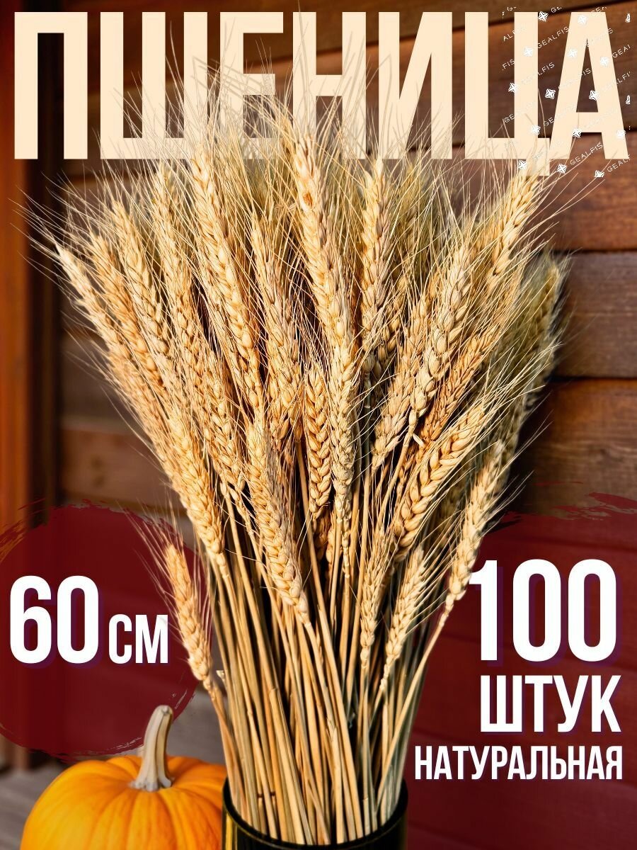 Сухоцветы Пшеница, 60 см, 90 гр, 100 шт