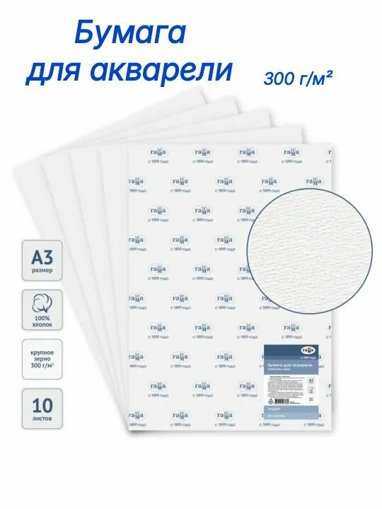 Бумага для акварели, 10л, А3, Гамма "Студия", 300г/м2, крупное зерно, 100% хлопок