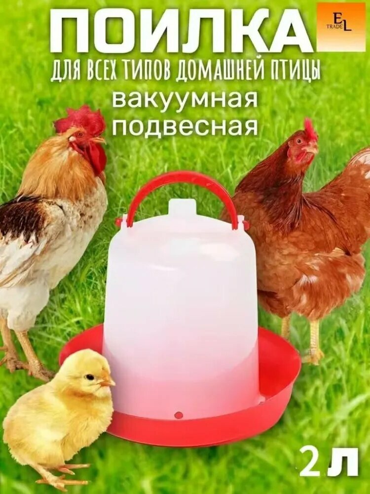 Кормушка для цыплят, Поилка 2л автоматические для птиц, кур, перепелов, цыплят, уток, гусей водоплавающей птицы индоуток утей индоутят индюков птенцов курей куриц в клетку