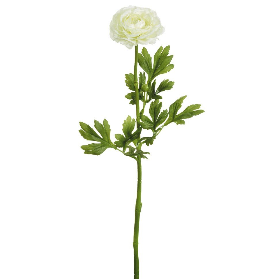 Fiebiger Floristik 204210-100 Цветок декоративный "Ранункулюс", 56 см