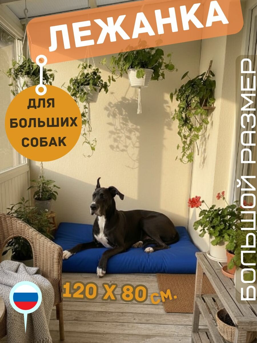 Лежанка для собак Creative Element, водонепроницаемая, съемный чехол, 120x80 см