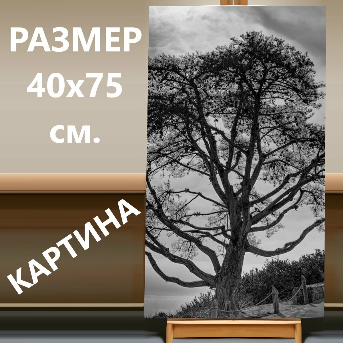 Картина на холсте "Дерево, ветви, монохромный" на подрамнике 75х40 см. для интерьера