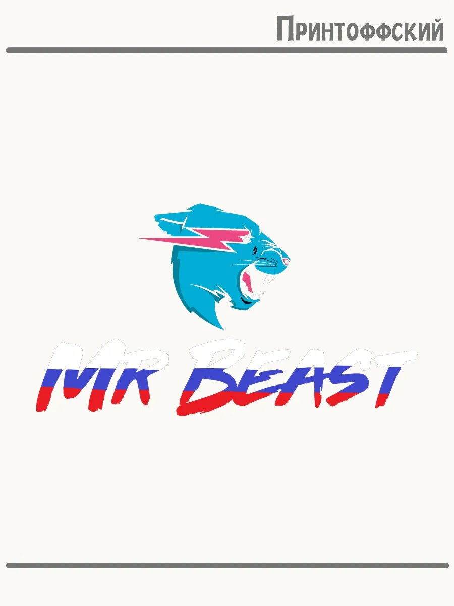 Термонаклейка для одежды и аксессуаров DTF-печать mr beast мистер бист ютубер