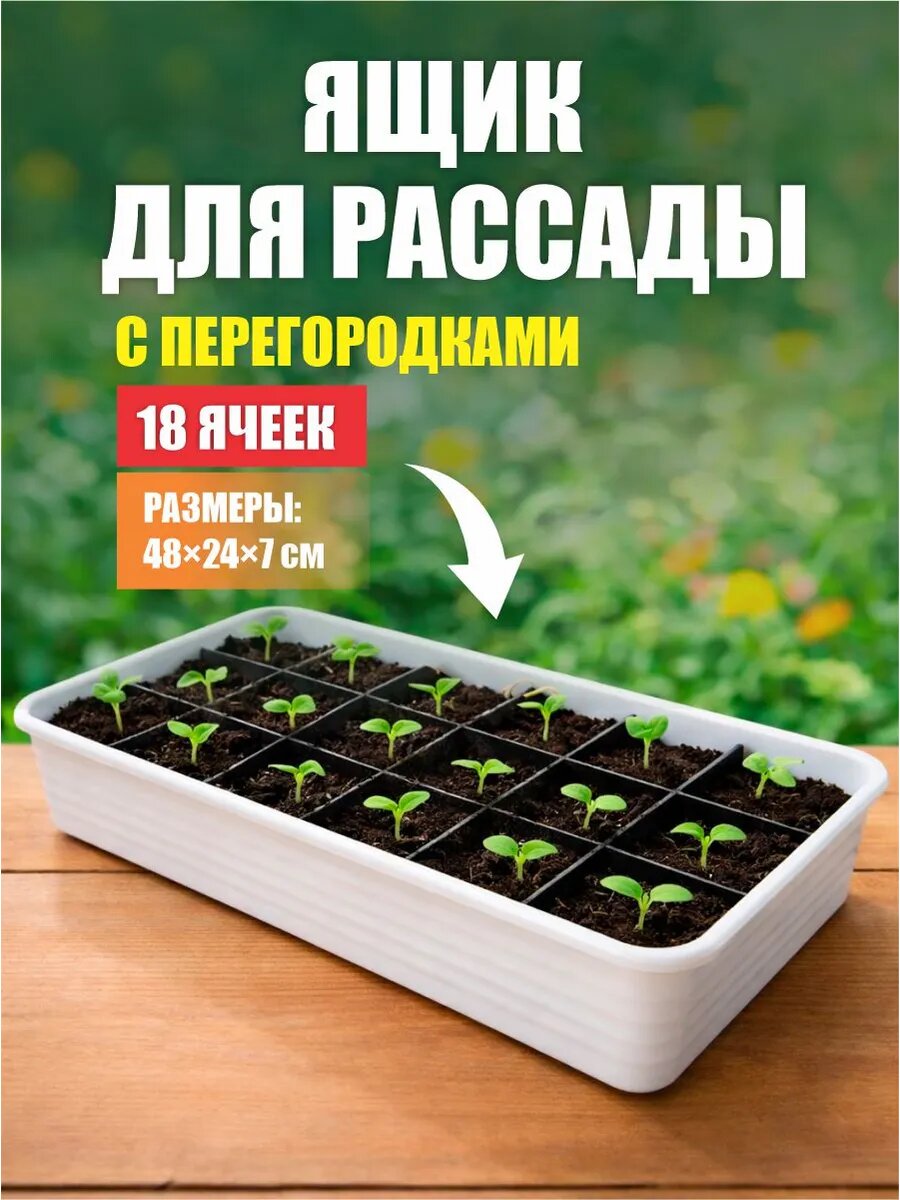 Ящик для рассады с ячейками 480*240*70