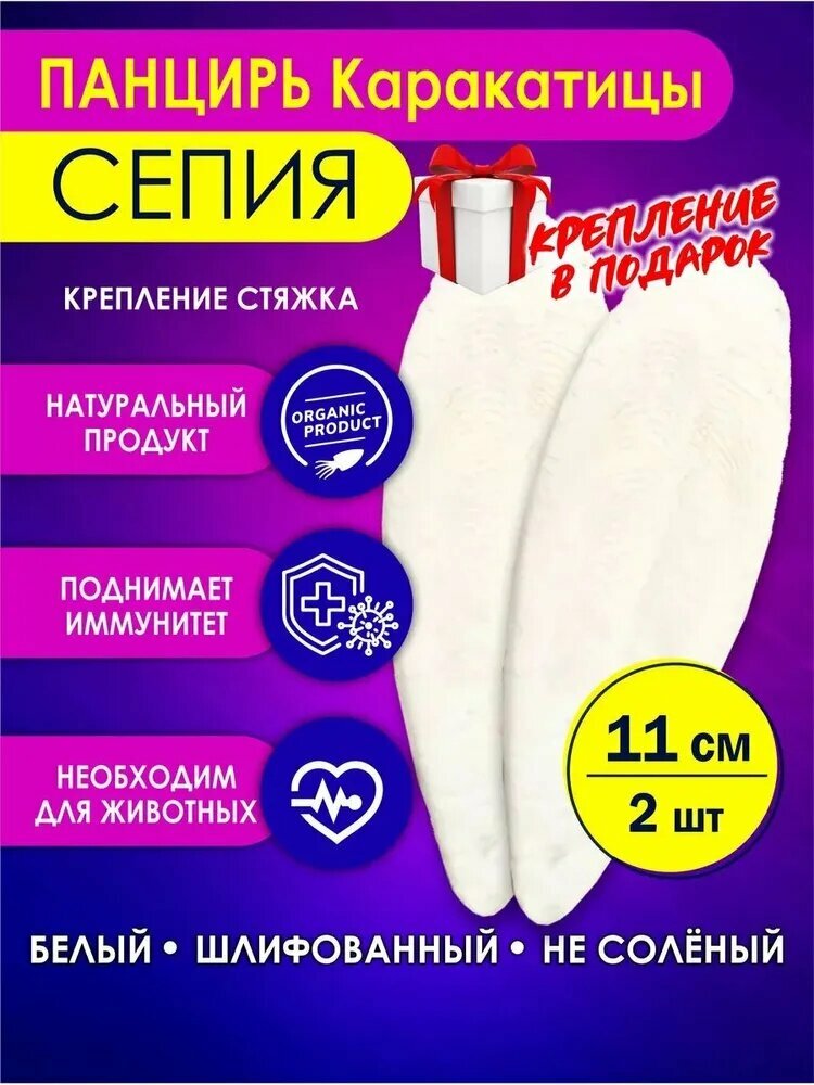 Сепия 11 см 2 штуки, панцирь каракатицы для улиток, черепах, попугаев, рептилий, корм для птиц