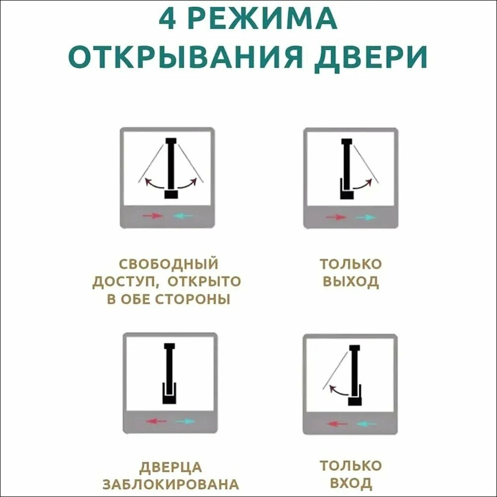 Дверца для животных — фото 1