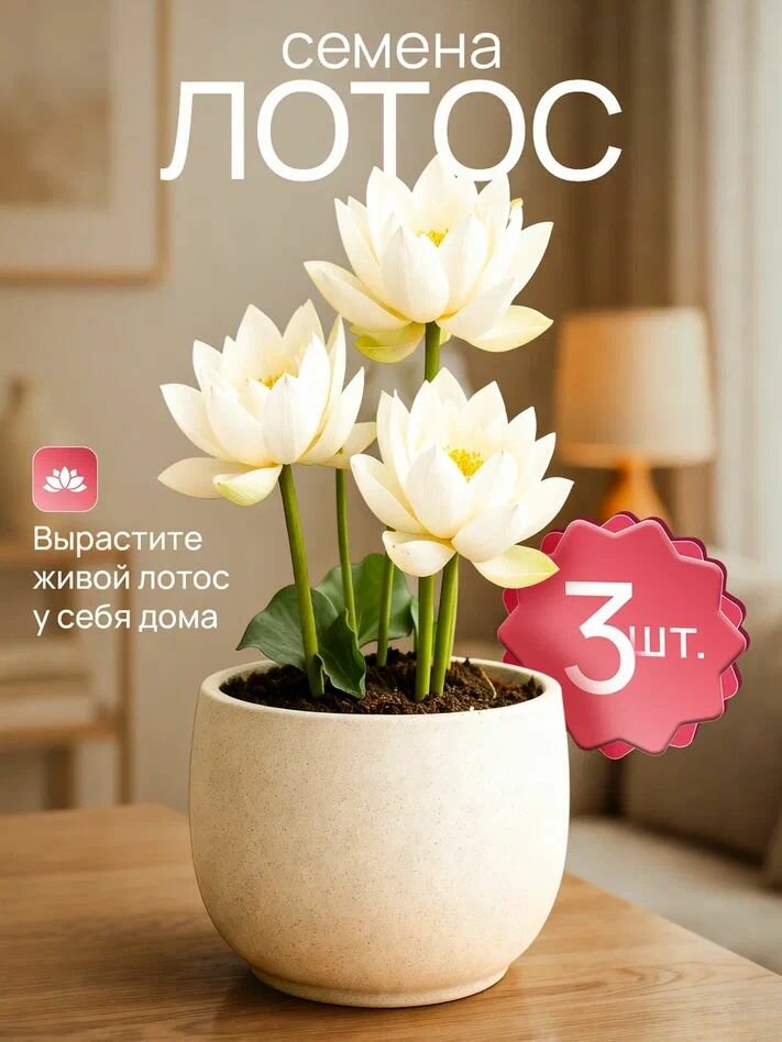 Семена лотоса набор 3 штуки экзотические отборные Про Растения