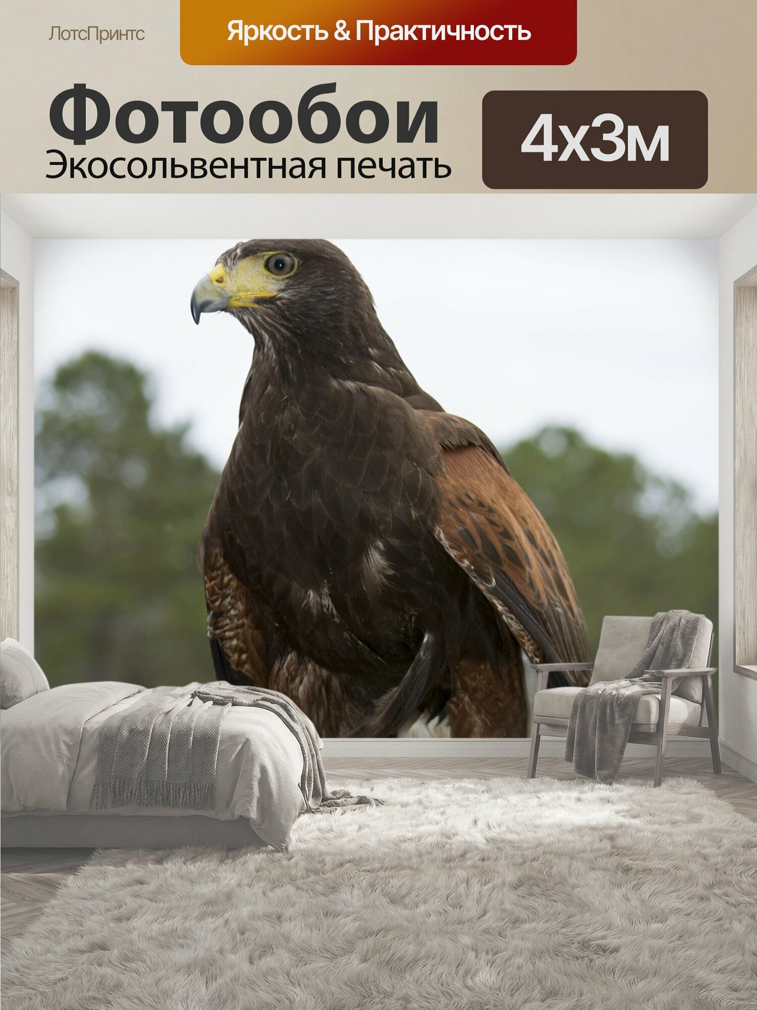 Фотообои "Ястреб, соколиная охота, птица" 400x300 см. экосольвентная печать