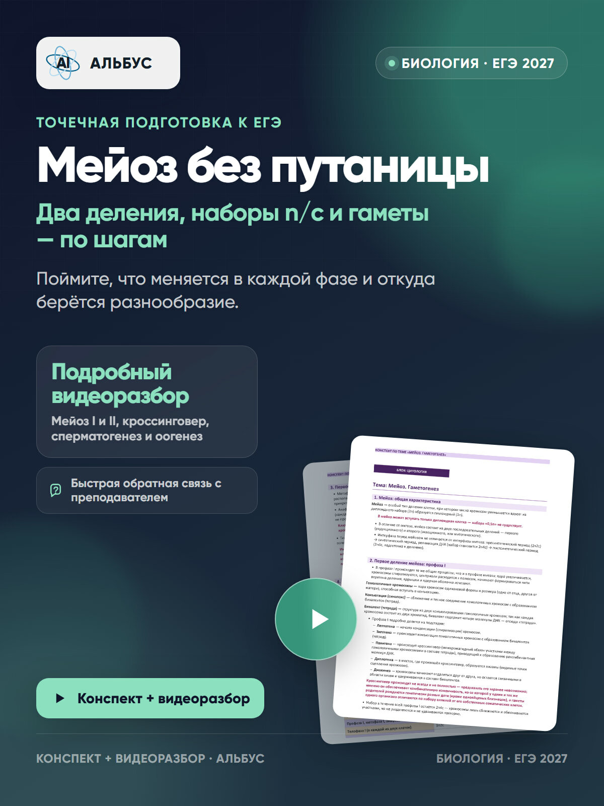 ЕГЭ-2027 по биологии: мейоз и гаметогенез — конспект и видеоразбор Альбус
