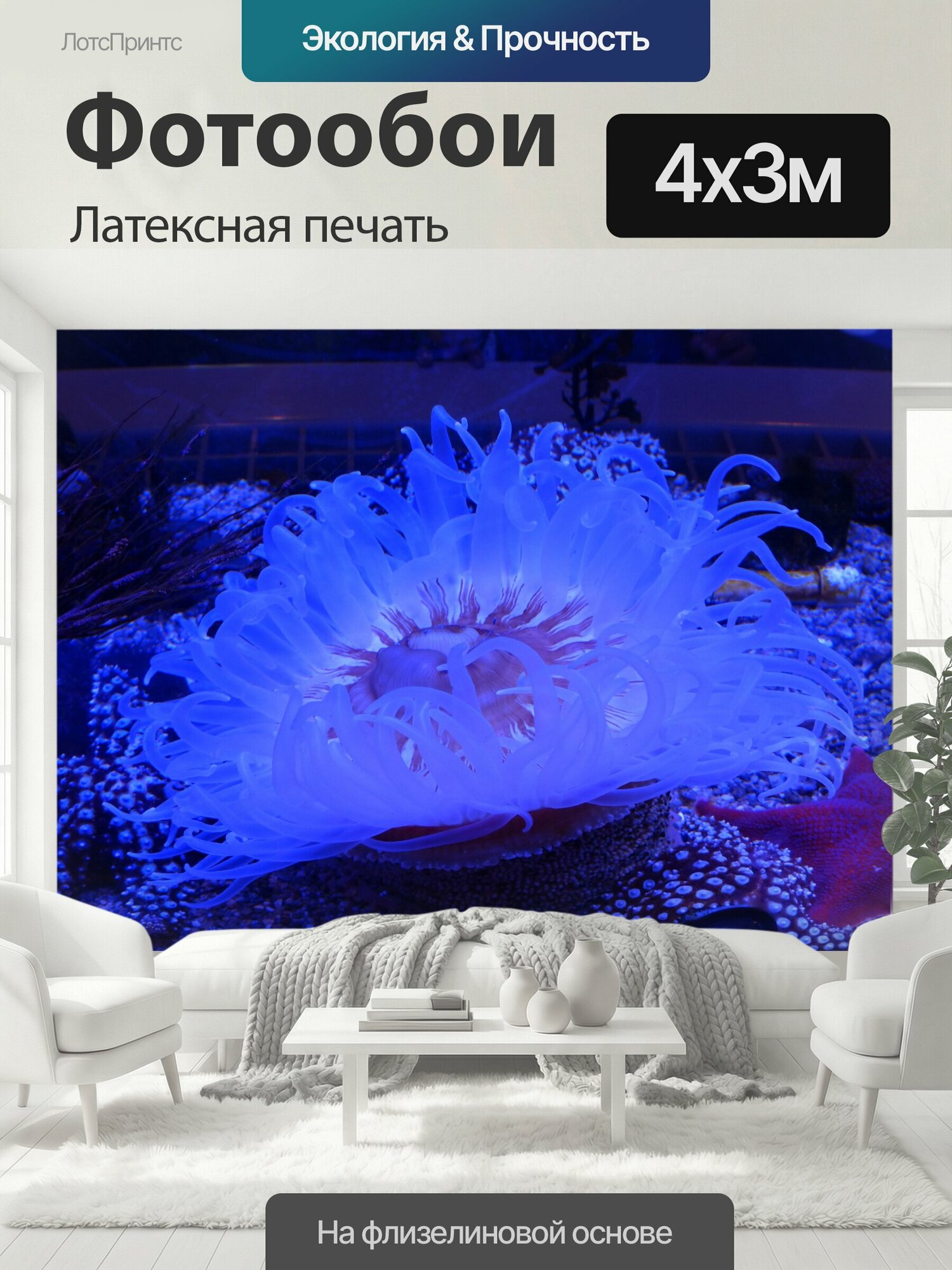 Фотообои моющиеся ударопрочные "Крупным планом актинии красивый фиолетовый актинии многие белые щупальцами крупным планом аквариум актинии." 400x300 см. латексная печать